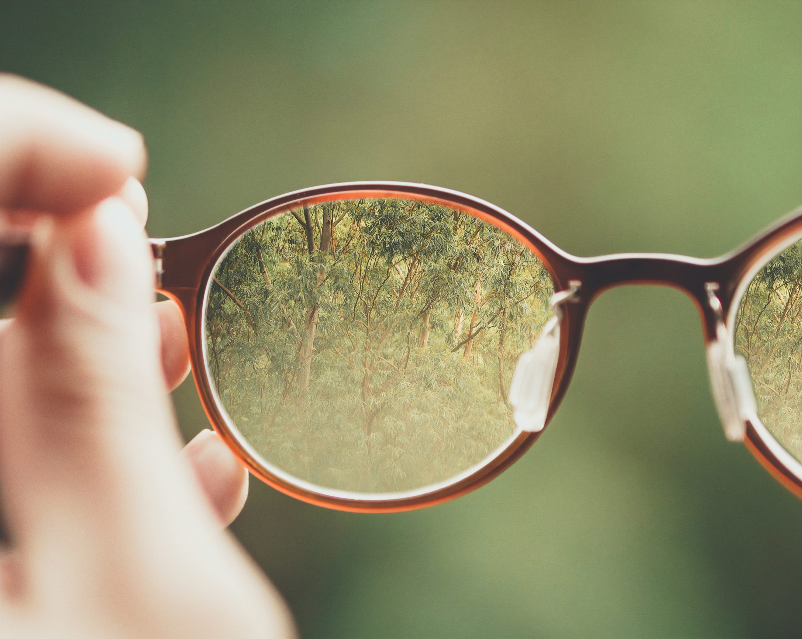 The Eye Center Understanding Nearsightedness Farsightedness 